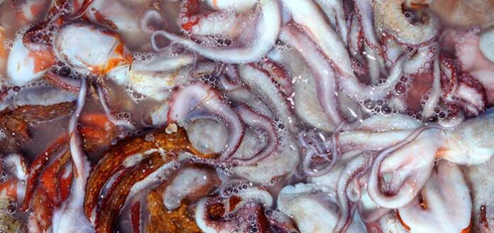 Las 10 comidas más raras del mundo | ¿Las probarías?