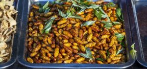 Las 10 comidas más raras del mundo | ¿Las probarías?