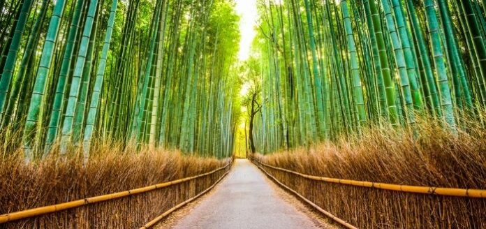 Los 20 lugares más exóticos del mundo | Destinos asombrosos