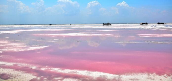 Las 10 playas de arena rosa más bonitas del mundo