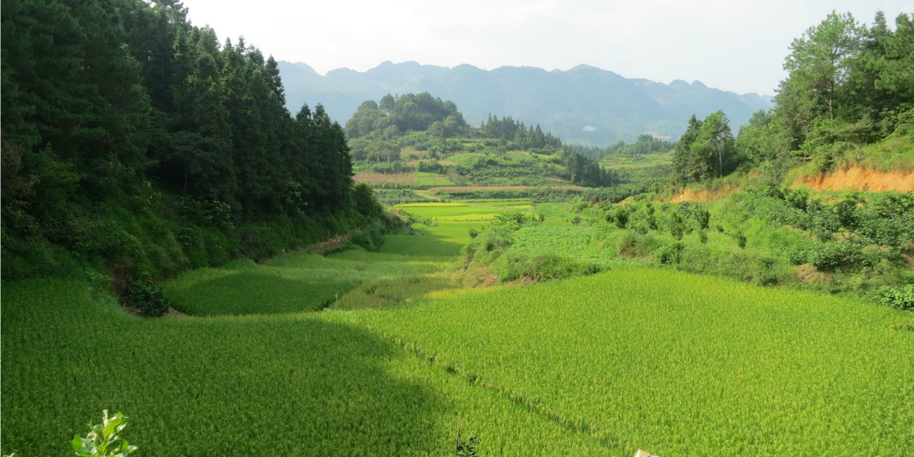 Libo County, el paraíso escénico del Sur de China - El Viajero Feliz