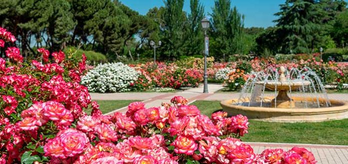5 Parques y jardines de Madrid que no puedes perderte - El Viajero Feliz