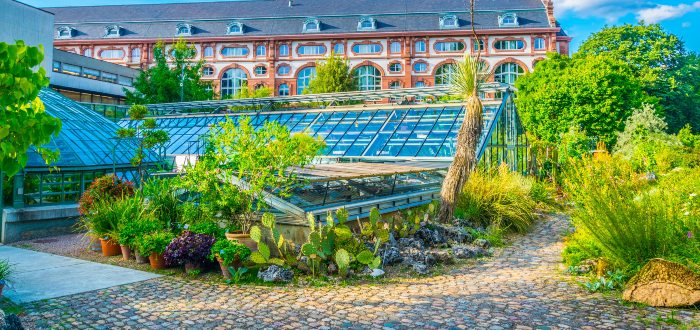 Qué ver en Basilea | 10 lugares imprescindibles [Con imágenes]