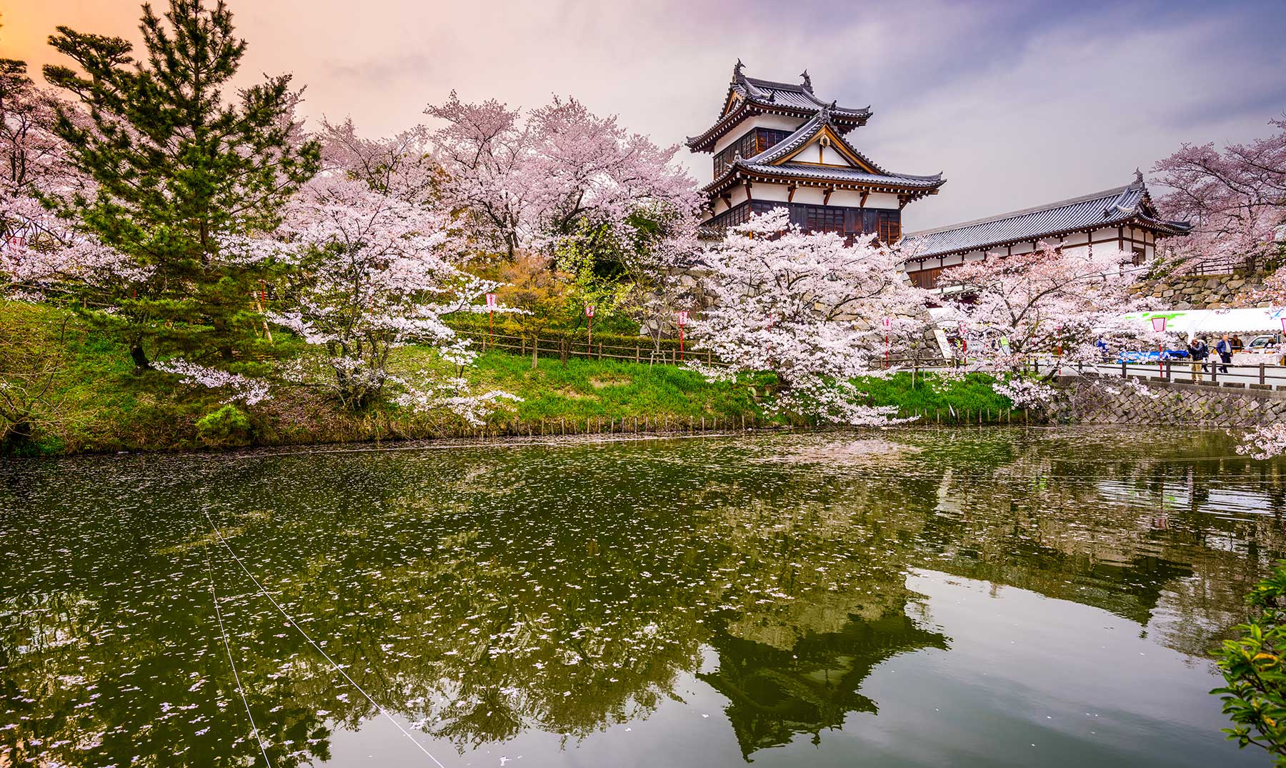 Qué ver en Nara | 10 Lugares Imprescindibles [Con imágenes]