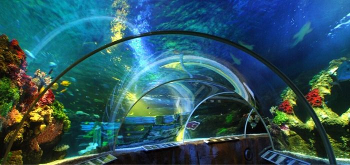 Qué ver en Lubeck | 10 Lugares Imprescindibles para descubrir