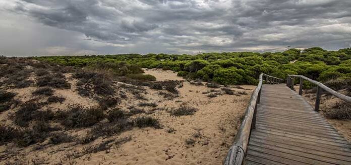 Qué ver en Punta Umbría | 10 lugares imprescindibles