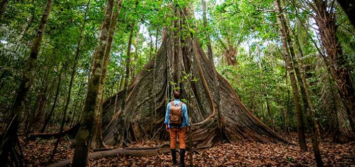 Viaje al Amazonas colombiano | Qué ver y hacer - El Viajero Feliz