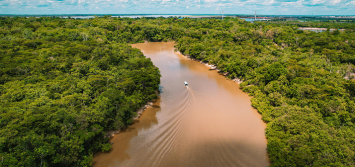 Viaje al Amazonas | Todo lo que debes tener en cuenta