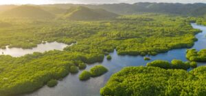 Viaje al Amazonas | Todo lo que debes tener en cuenta